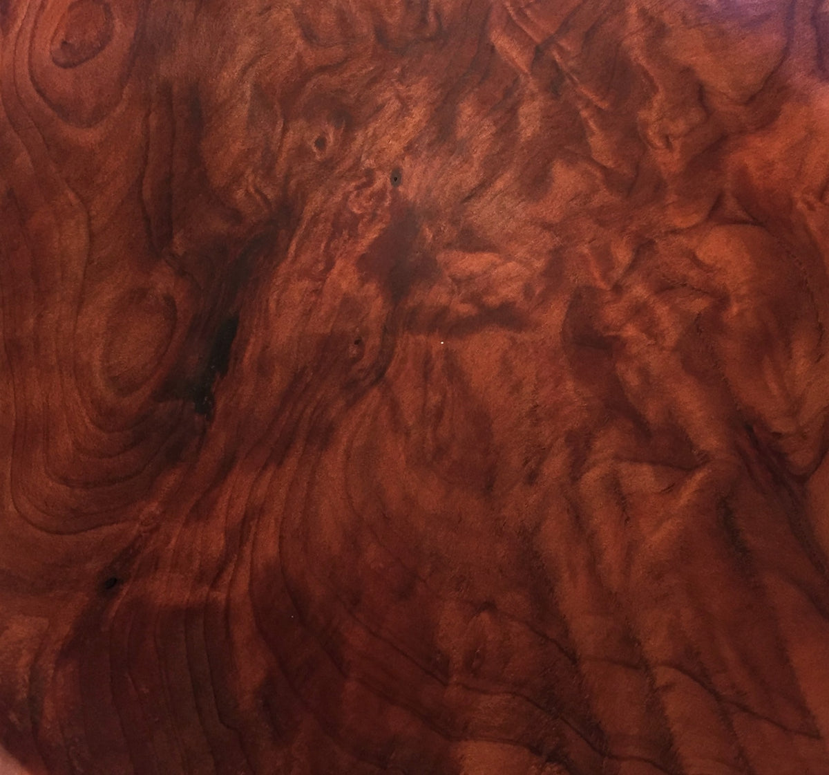 Neal DeVore – The Highlight Gallery