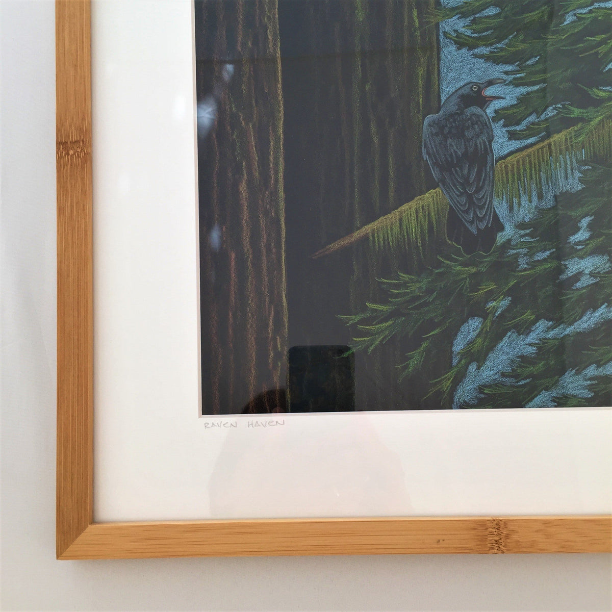 Raven Haven – The Highlight Gallery