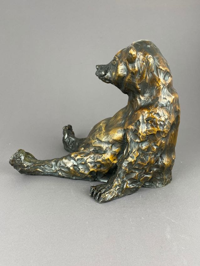 Senior Bear – The Highlight Gallery