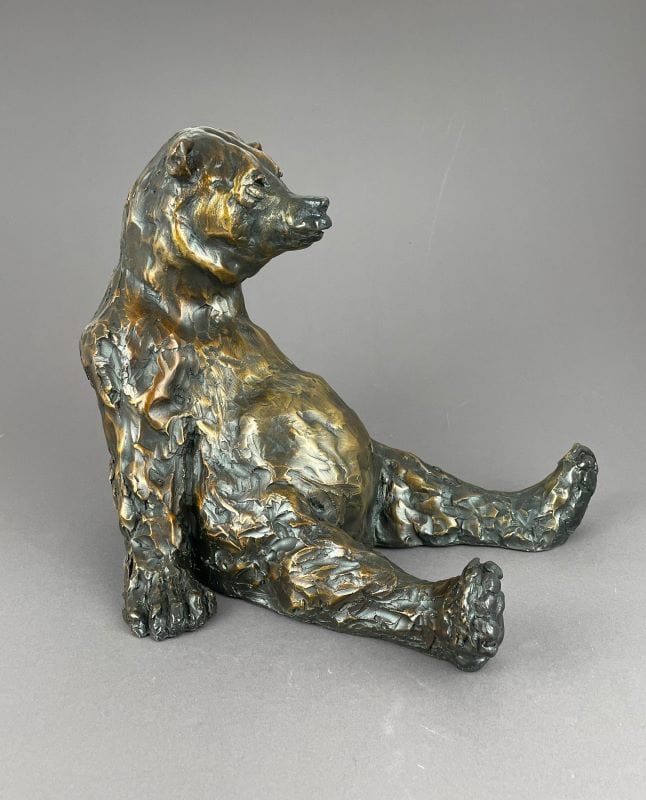 Senior Bear – The Highlight Gallery