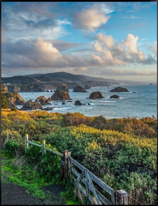 Cuffy's Cove – The Highlight Gallery